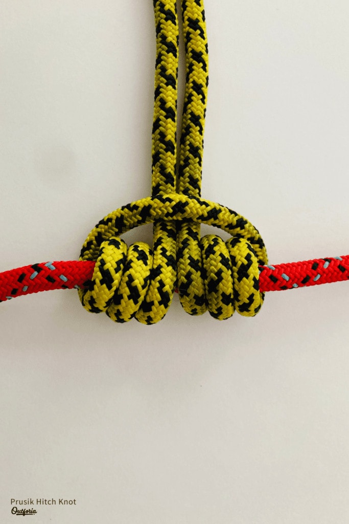 25 Types of Knots: Essential Skills for Any Adventure